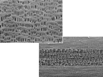 Products – Page 3 – Celgard-Online